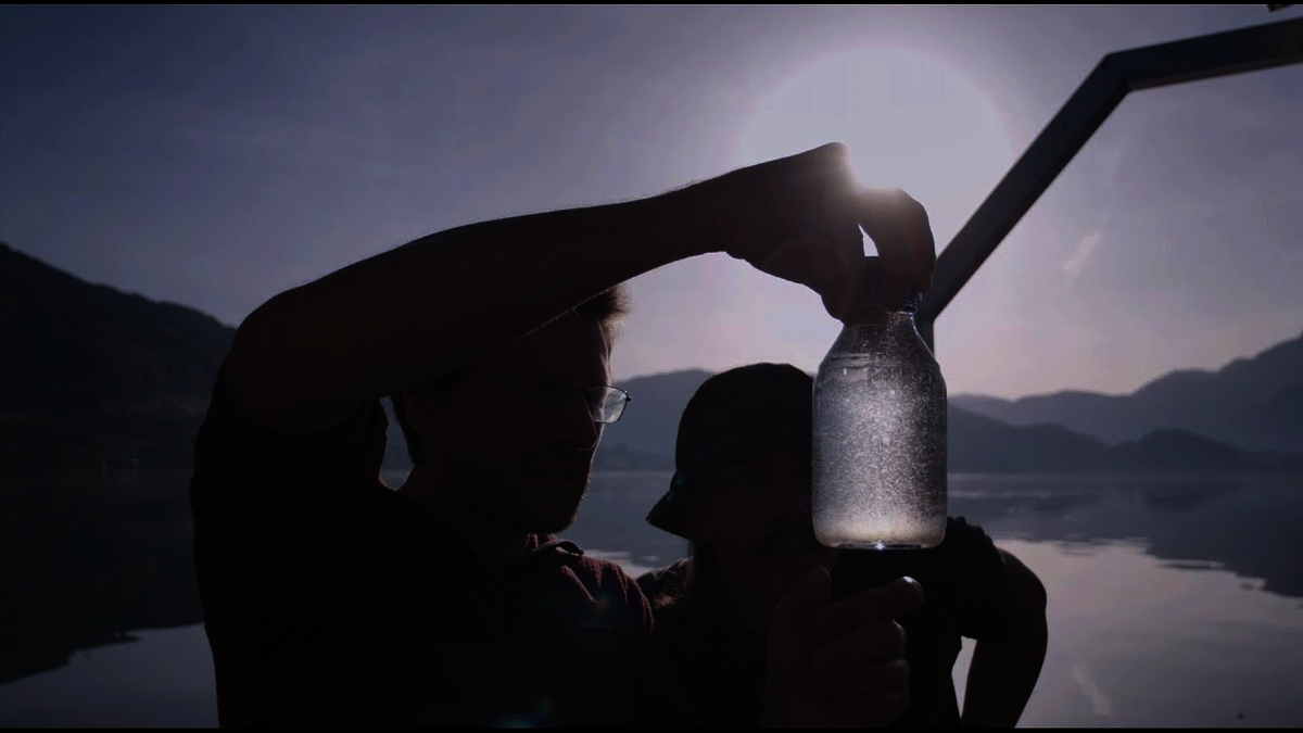 Von Wasserflöhen lernen - scilog