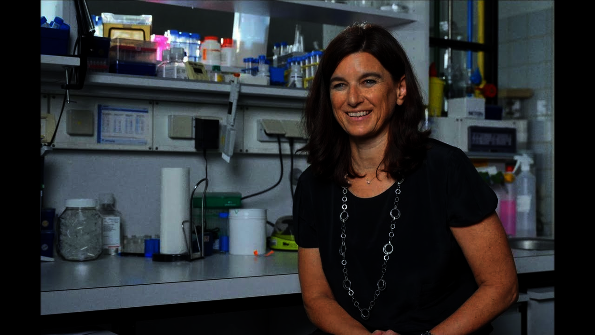 "Our immune systeme does an incredible job" - scilog