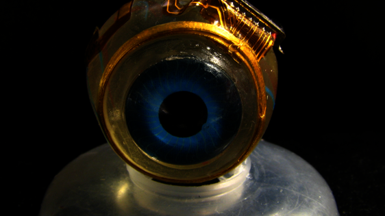New approaches to vision with retinal implants - scilog