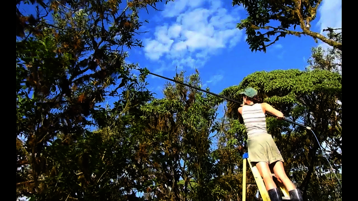 Evolution in real time - scilog