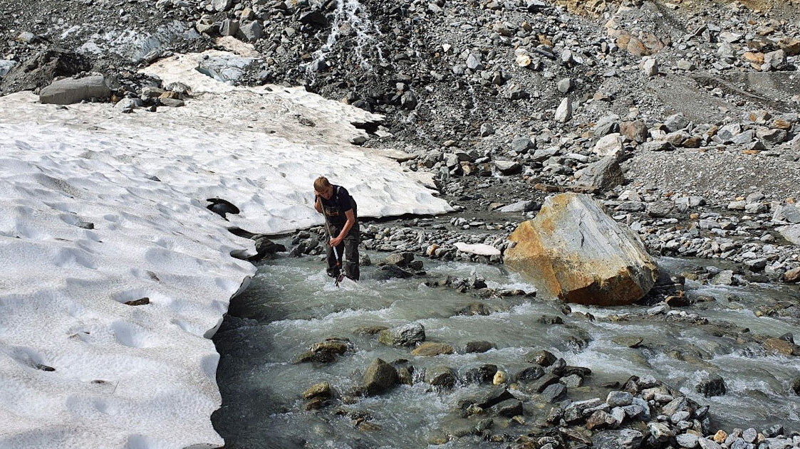 Midges furnish insights into the glacier’s ecosystem - scilog