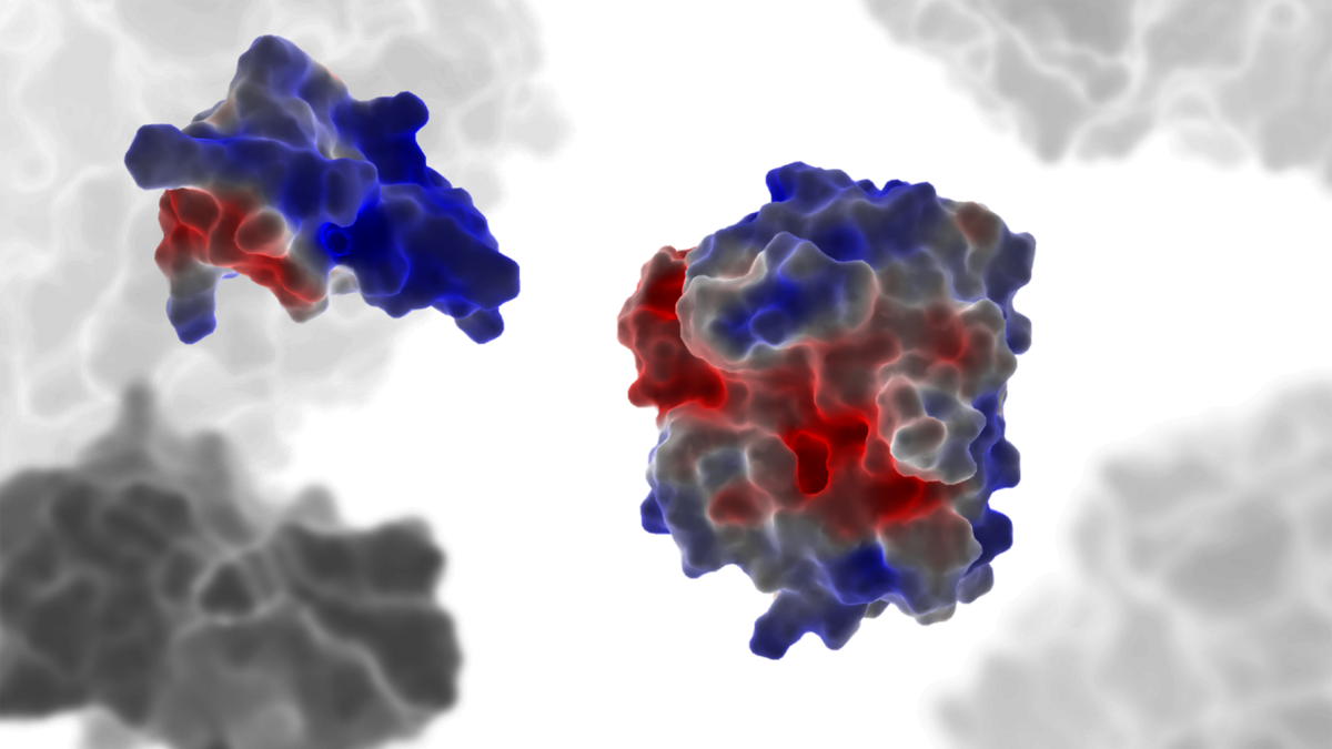 How To Simulate Protein Recognition Scilog