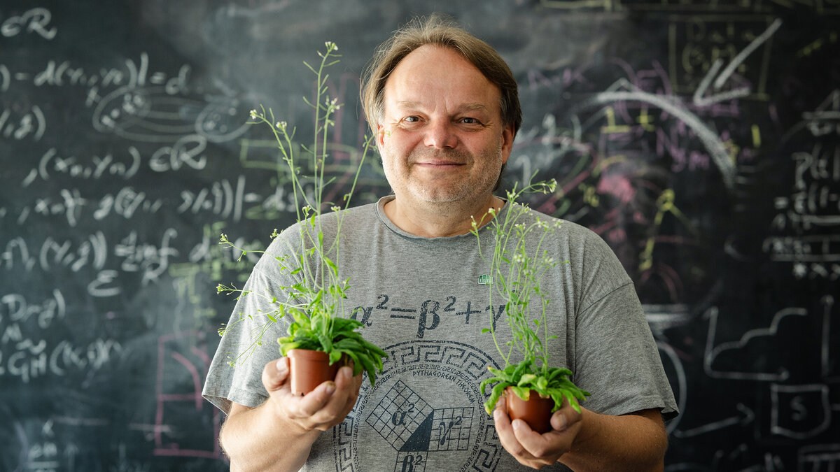 How plants control their growth - scilog