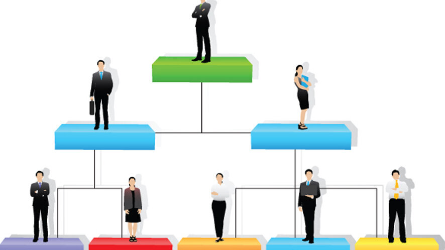 How companies work - scilog