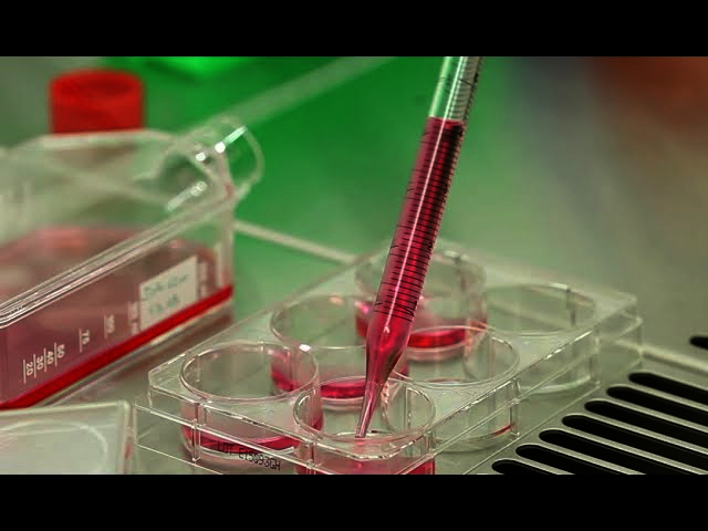 Researchers prepare new generation of implants - scilog